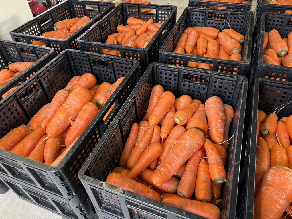 2026年初荷式を行いました｜お知らせ｜葉豆瑠農園株式会社